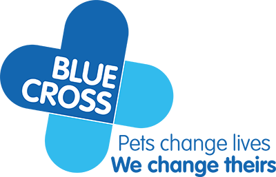 MyIntent - Life, death, legacy. Sorted.